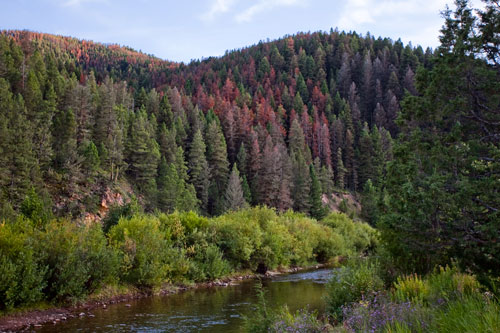 6 Breathtakingly Beautiful Montana National Parks and Forests to Quench ...